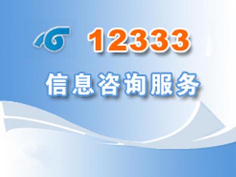 12333可以咨询什么