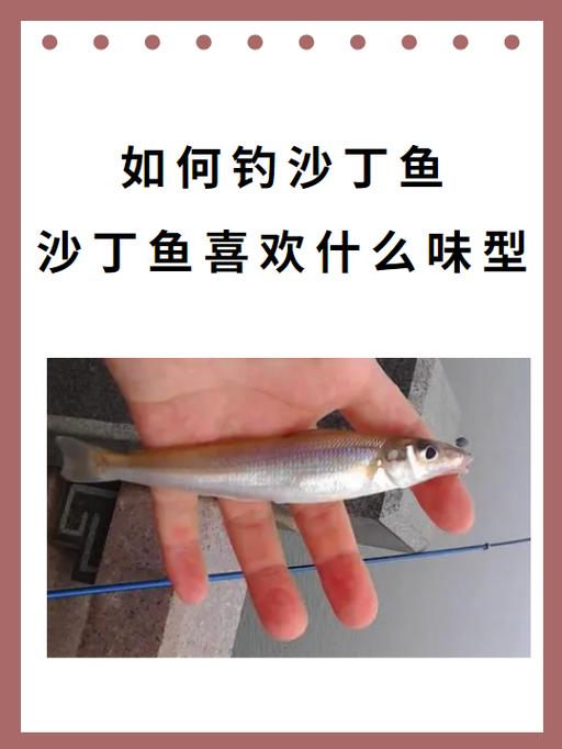 沙丁鱼罐头好吃吗图标
