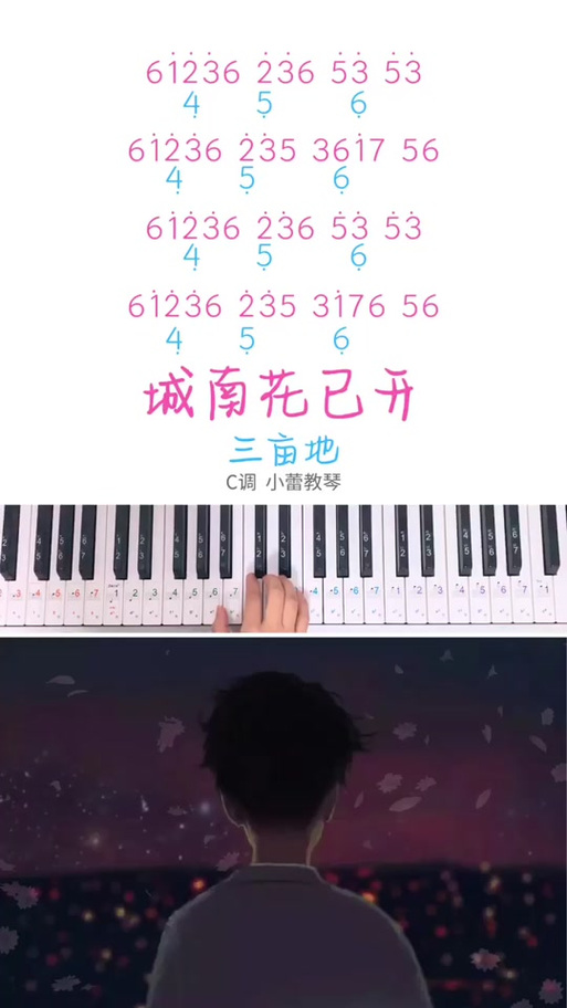 南墙花已开钢琴谱图标