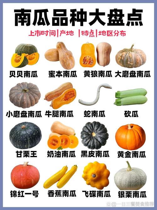 南瓜又名什么瓜图标