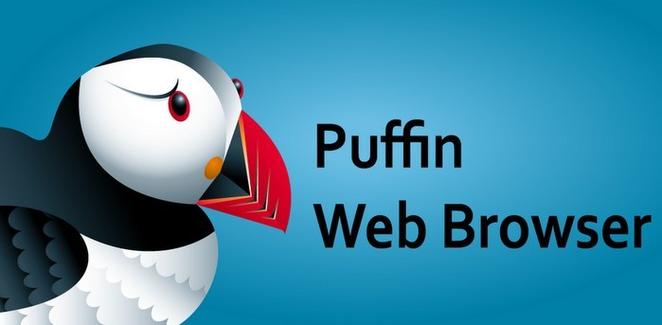 puffin浏览器海外版图标