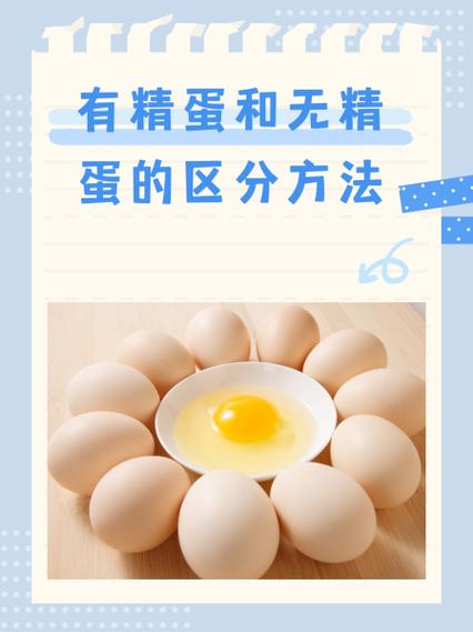 怎么挑选有精蛋截图
