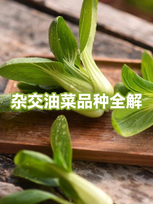 农业工艺杂交截图