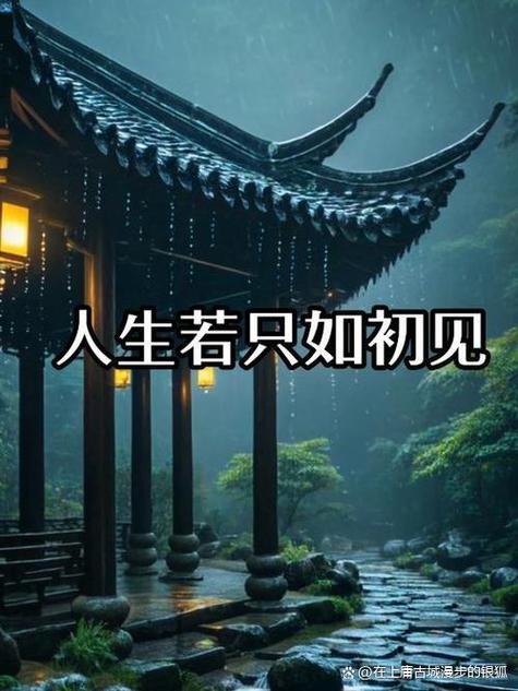 人生若只如初见vip价格图标