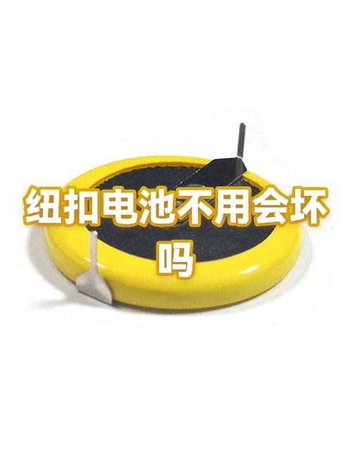 电池一直不用会坏吗