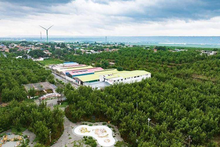 河南网络电视台直播图标