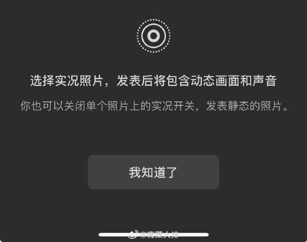 视频改实况照片图标