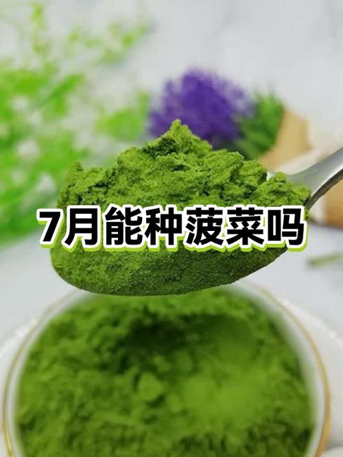 越南做菠菜合法吗截图