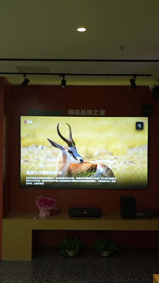 海信小聚怎么打开电视图标