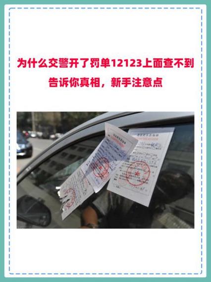 交警开的纸质罚单丢了怎么办截图