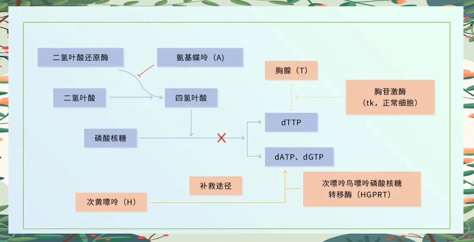 HAT选择系统图标