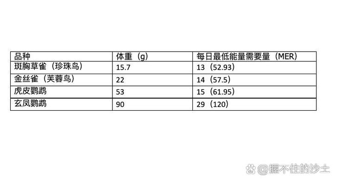 每日需要的能量计算截图
