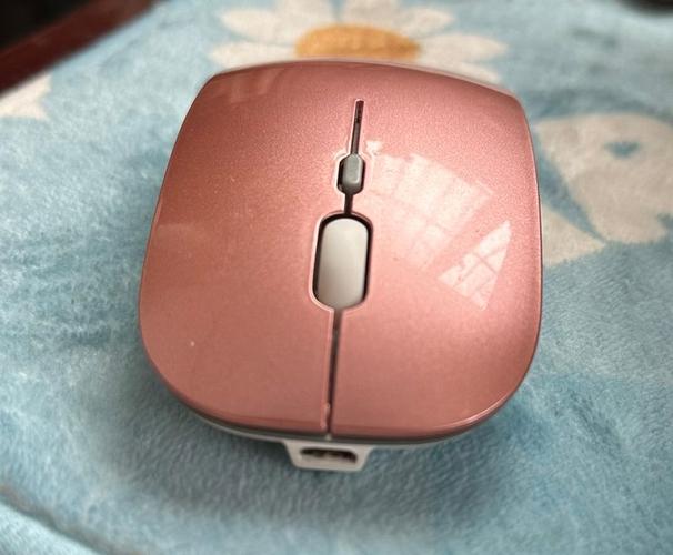 ipad能用蓝牙鼠标吗图标
