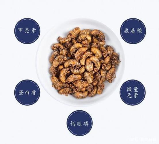 金蝉有什么营养图标
