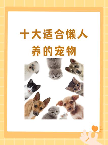 宠物最好养前十名图标