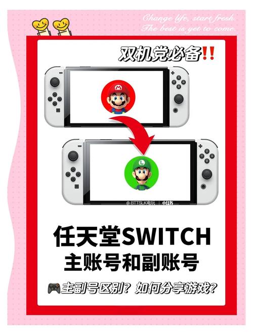 任天堂主账号和副账号图标
