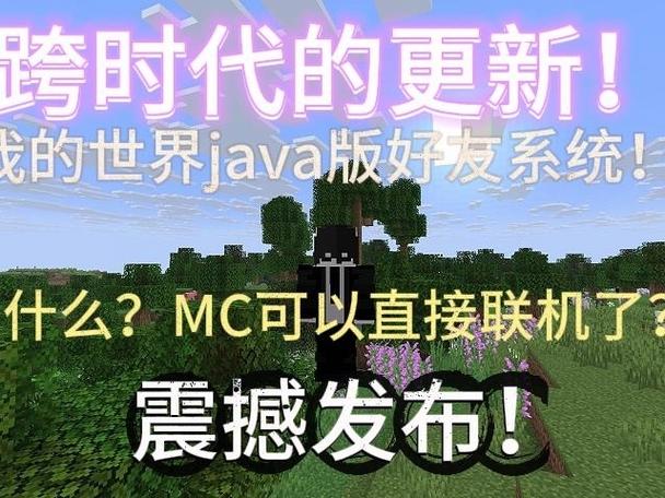 我的世界平台联机图标