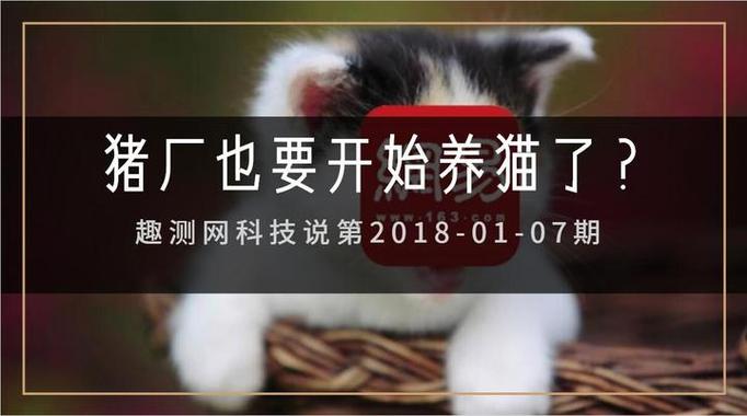 叮当区块养猫平台图标
