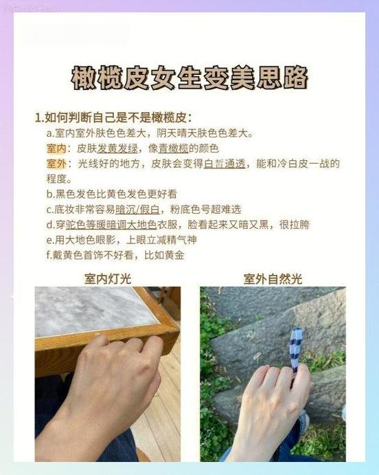 橄榄皮是什么意思图标