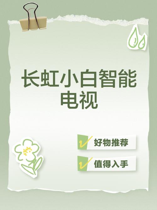 最新长虹小白使用方法截图