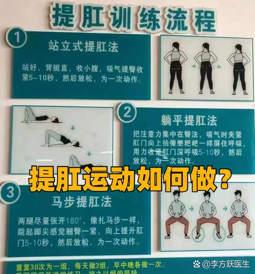痔疮提肛运动怎么做图解图标
