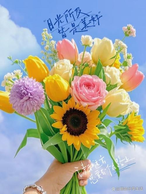 春暖花开手机版APP最新版图标