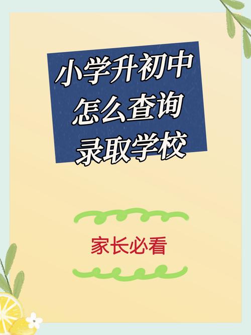 智桂通小学升初中截图