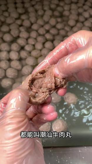 丸子妹潮汕牛肉丸图标