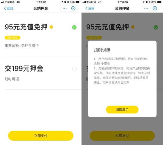 查不到小黄车扣费记录图标