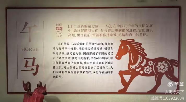 轩昂打一生肖最佳答案截图