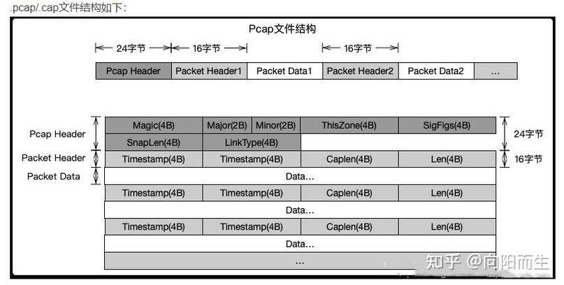 python pcap解析