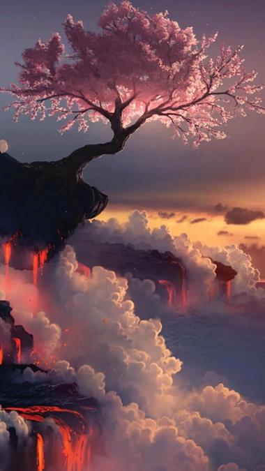 樱花动漫app手机版ios图标