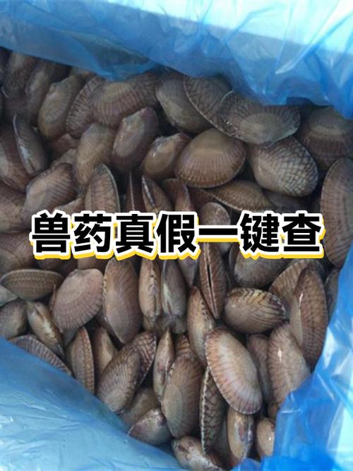 国家兽药查真伪扫一扫图标