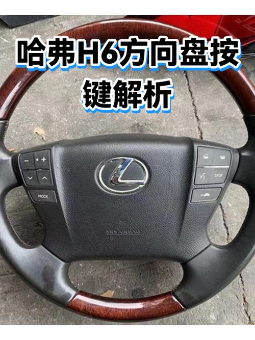 哈弗h6主驾驶门打不开图标
