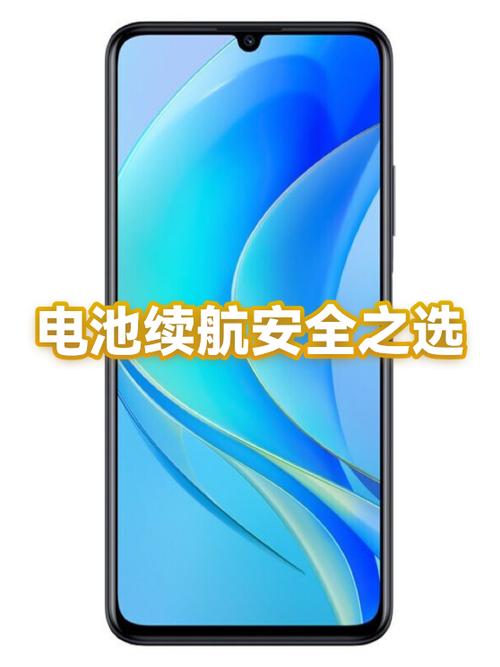 标准续航升级版和长续航图标
