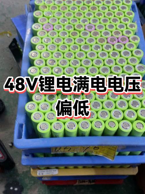 48v锂电欠压值多少图标