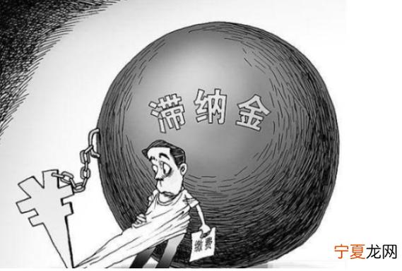 国家税款滞纳金计算器图标
