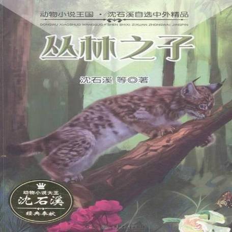 《丛林之子》在线观看动画