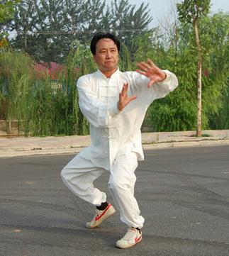 岳奇峰站式动练法全集