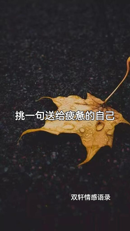 2020爆火文案截图