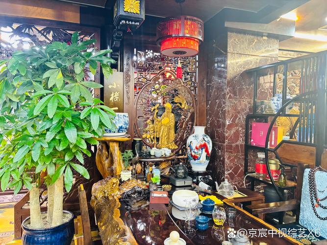 深圳51茶楼论坛图标