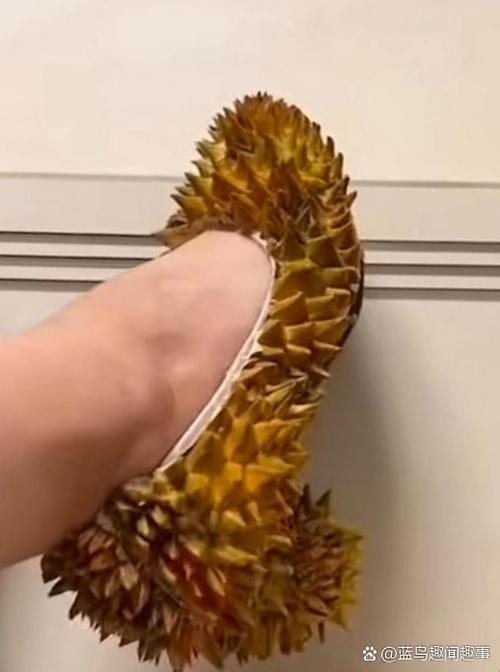 榴莲d24是什么意思图标