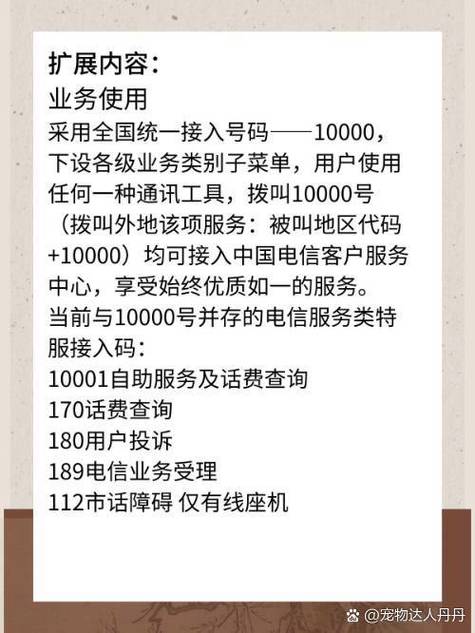 电信10000知道截图