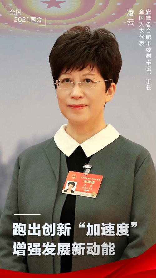 凌云vpm图标