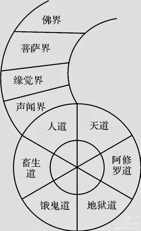 查自己的六道轮回截图