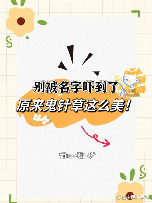 荒野什么取名好听截图