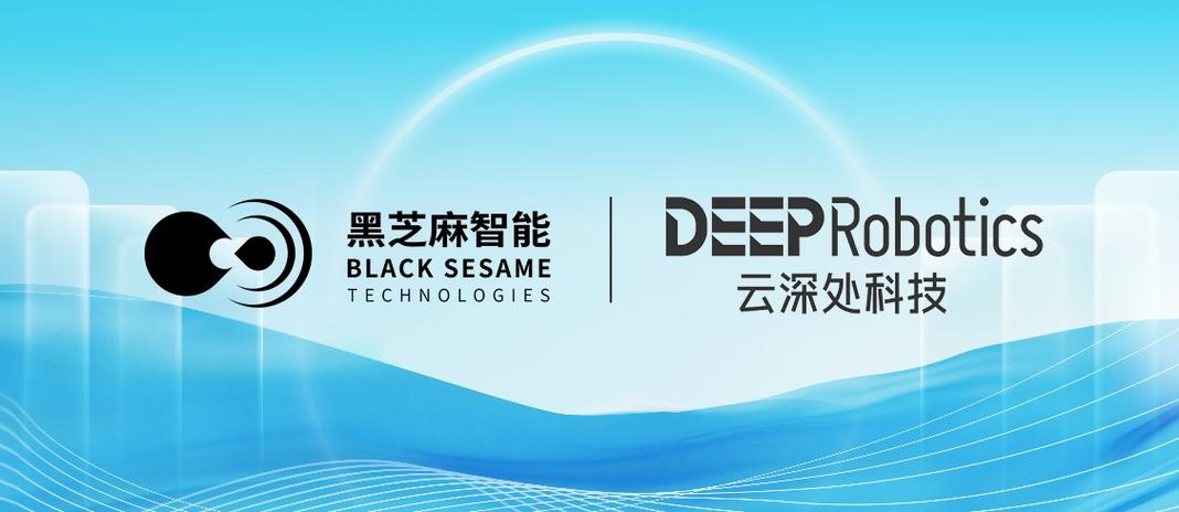 芝麻科技网图标