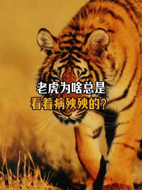 学老虎爬治什么病图标