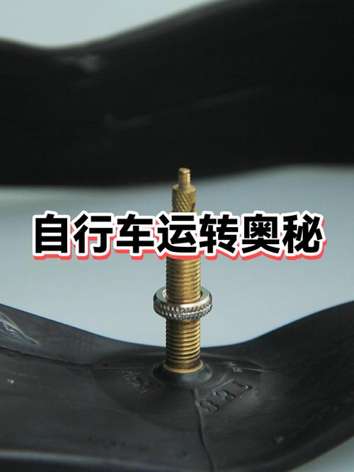 自行车的能量转化截图