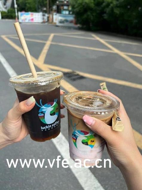 风车第38集在线观看图标